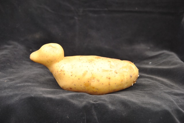 Chan-Wang has patented the “Ducktato” duck shaped potatoes