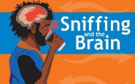 Fuel sniffing: Kids move from petrol to avgas - News