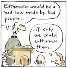 Euthanasia safeguards - News